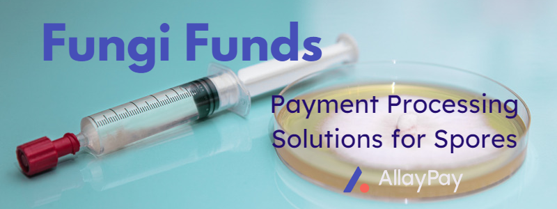 Secure Growth for Your Spores Business | AllayPay